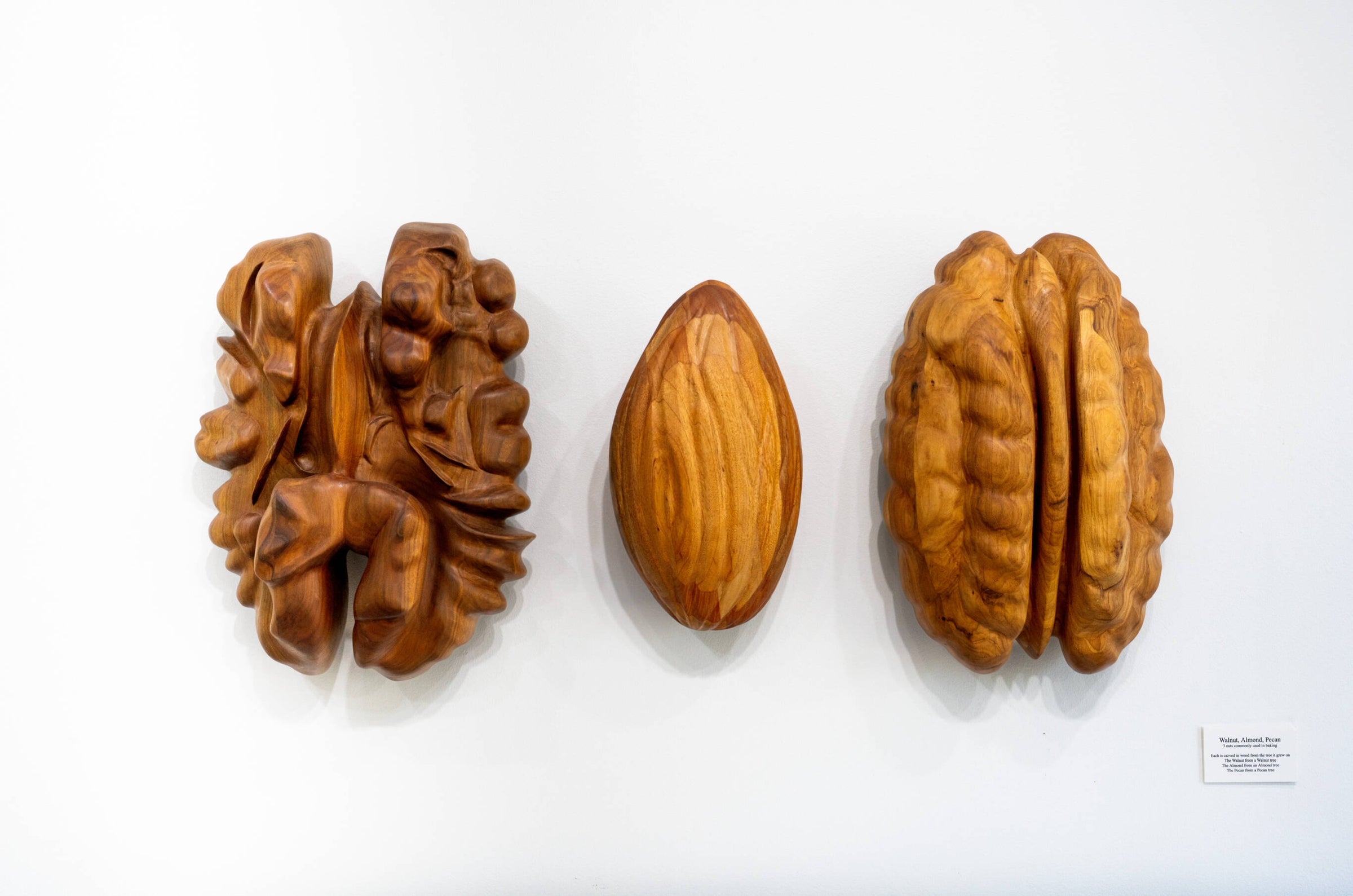 Home | Goodman Bakes